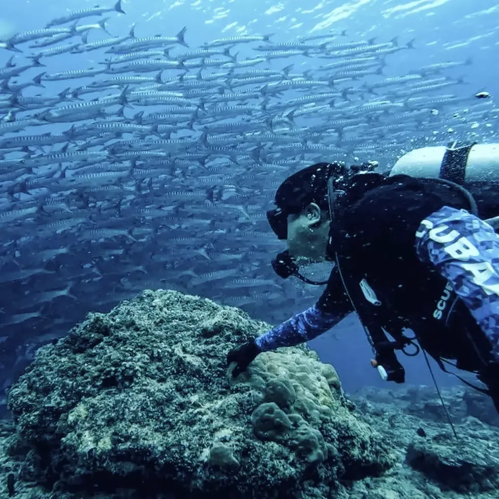 Home 98 [divemaratua.com]